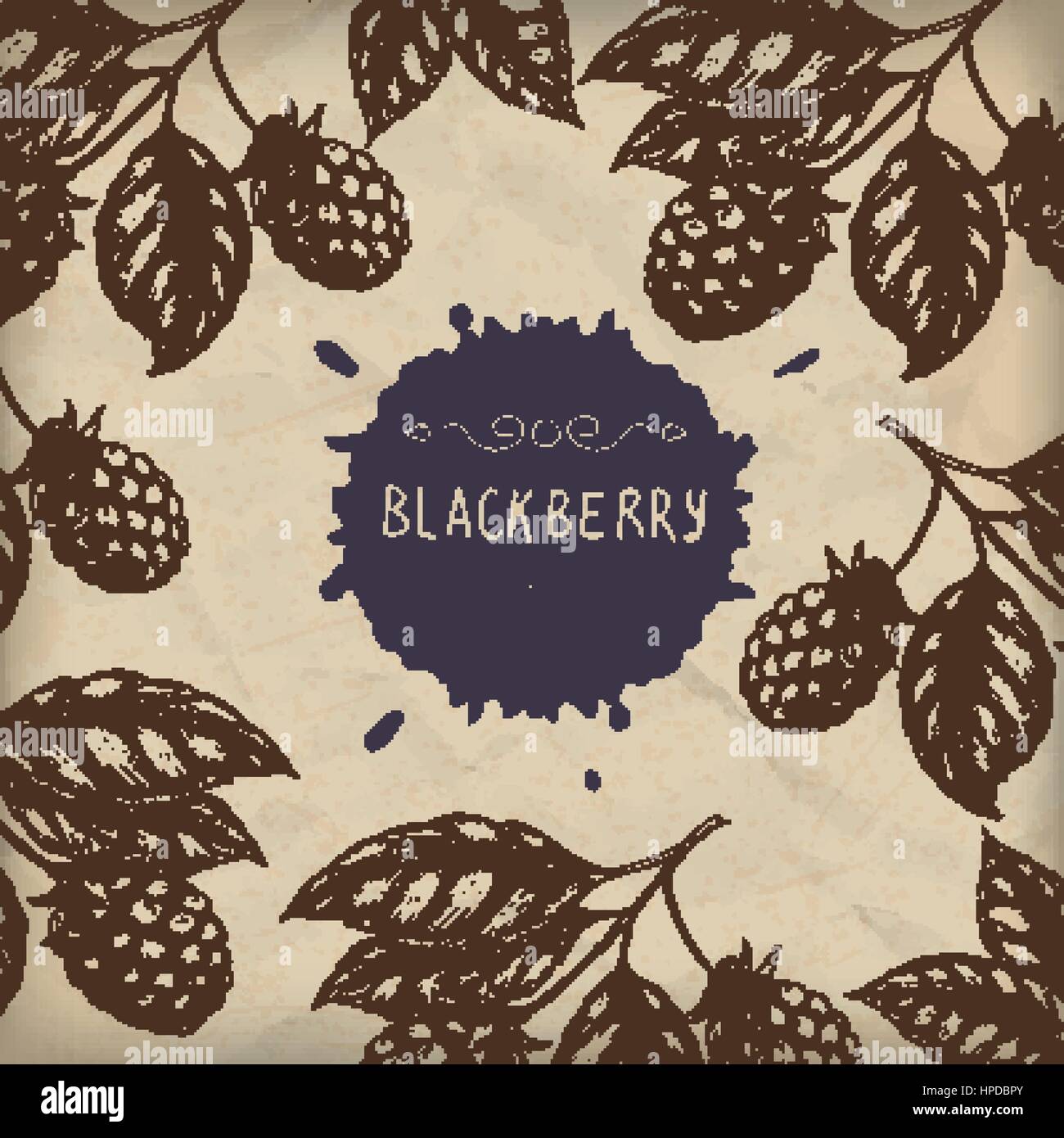 Blackberry Raspberry design template. Blackberry Raspberry branch ...