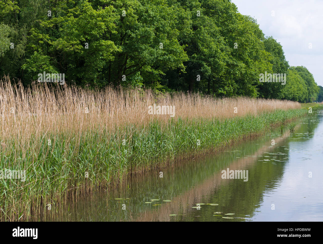 Shore along a canal hi-res stock photography and images - Alamy