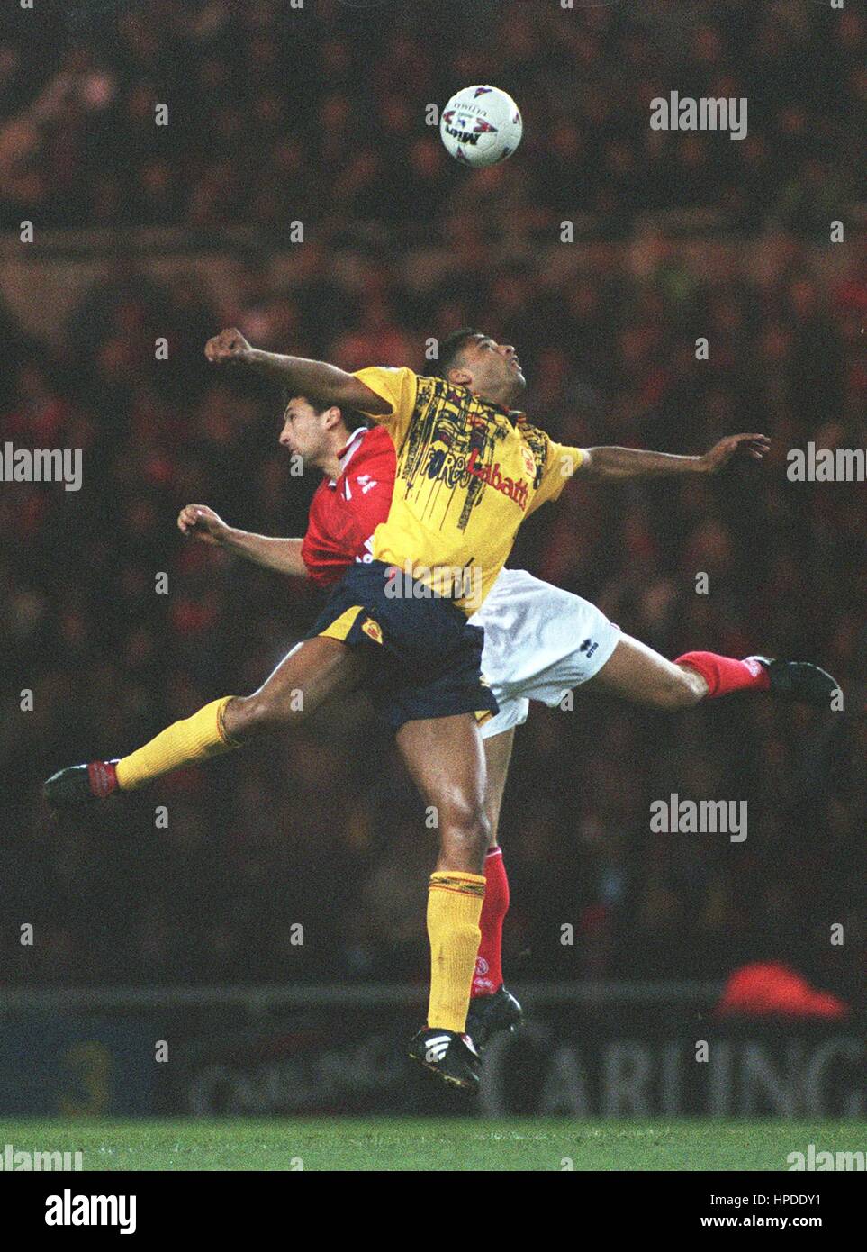 Van hooijdonk forest hi-res stock photography and images - Alamy