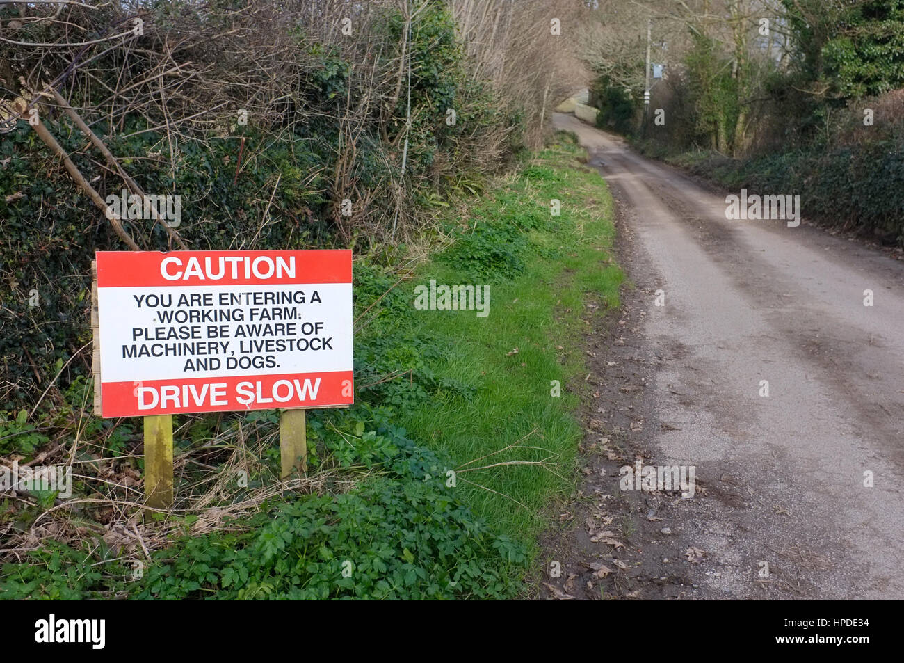 Warning of a farm ahead Stock Photo - Alamy