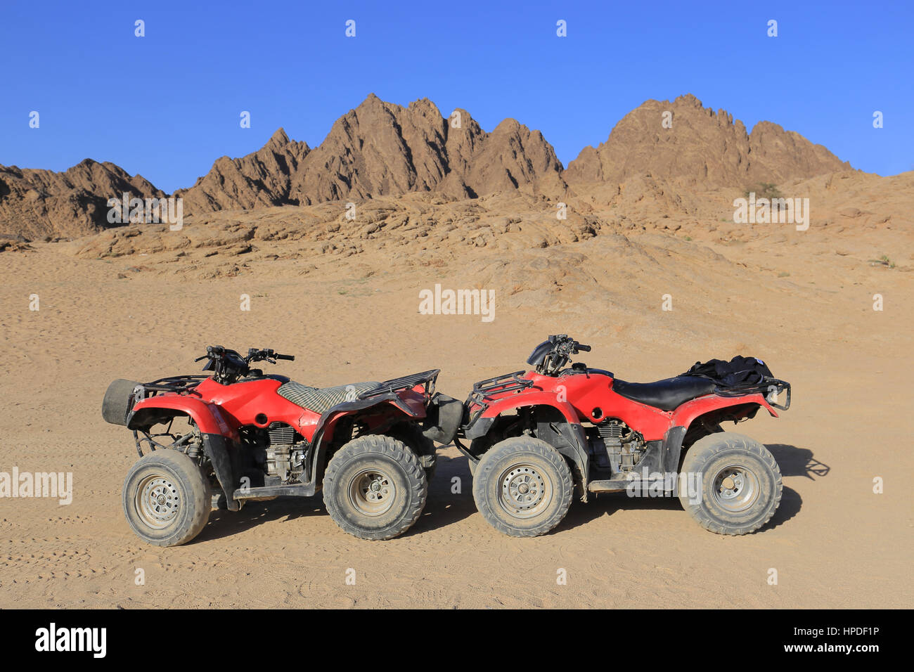 Quad bikes in the desert in Egypt Stock Photo - Alamy
