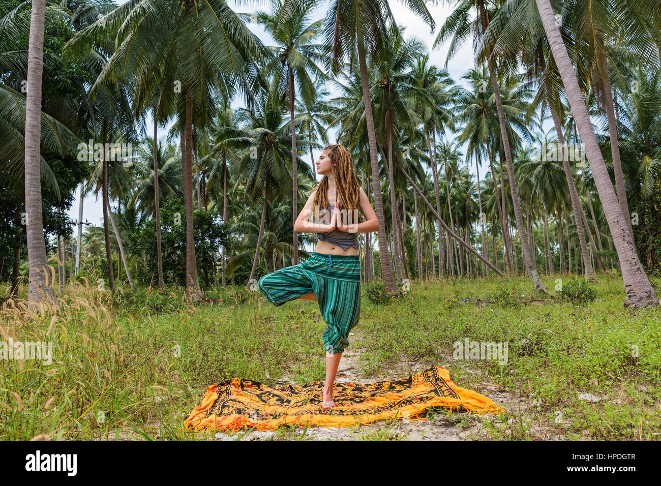 Women with dreads hi-res stock photography and images - Alamy