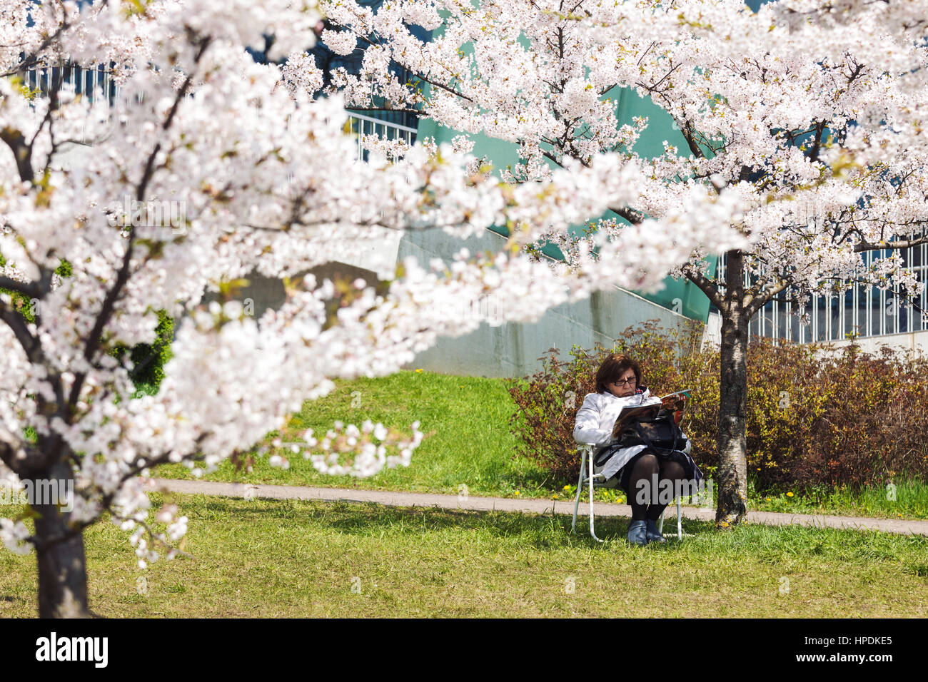 Woman reading under tree hi-res stock photography and images - Alamy