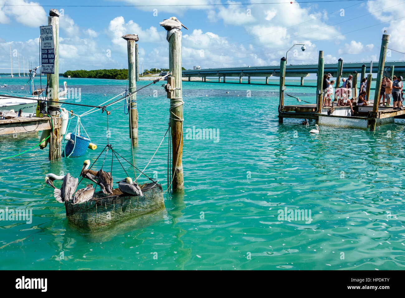 Florida Upper Florida Keys,Islamorada,Lower Matecumbe Key,Robbie’s ...