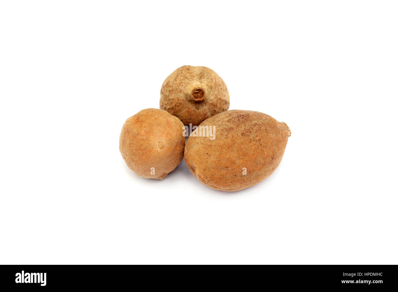 Medicinal Bahera fruit on white background Stock Photo - Alamy