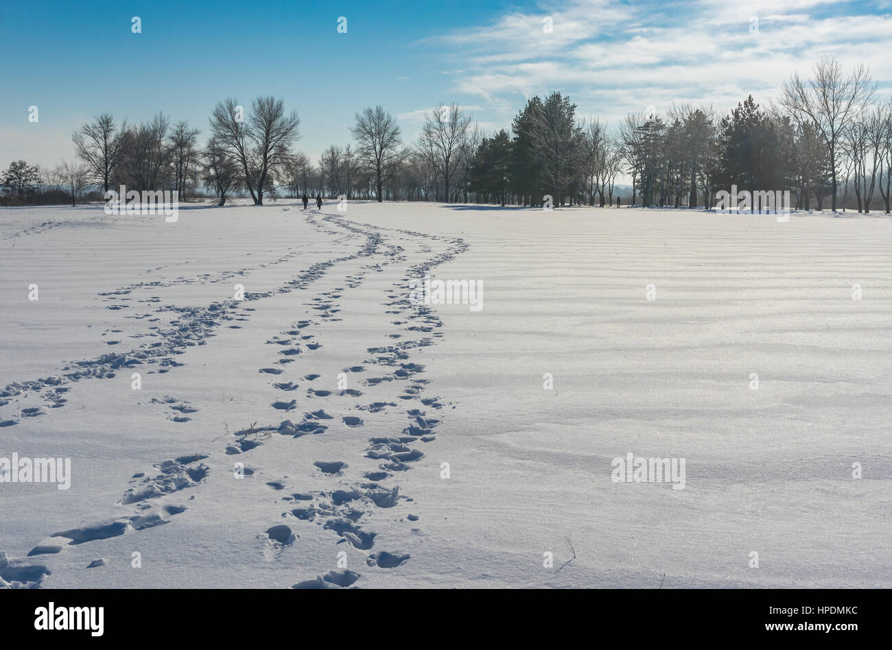 Winter landscape with footprints on a fresh snow Stock Photo - Alamy