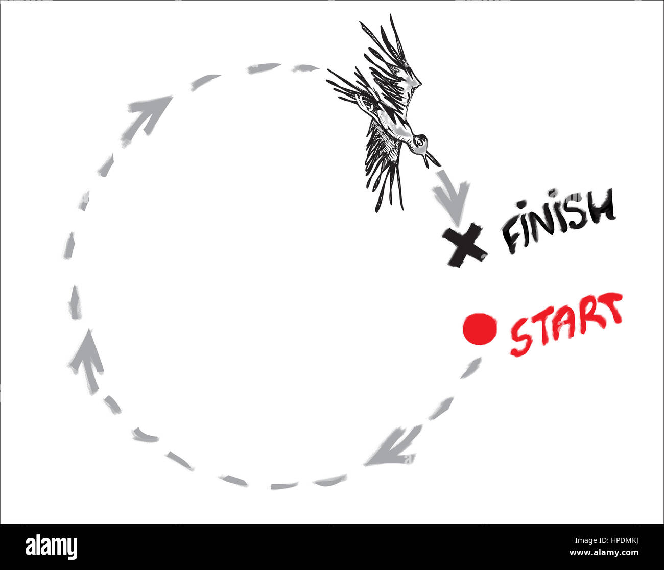 Illustration of a bird flying around in direction from start to finish ...
