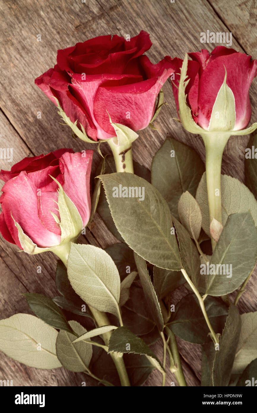 Red roses on old hi-res stock photography and images - Alamy