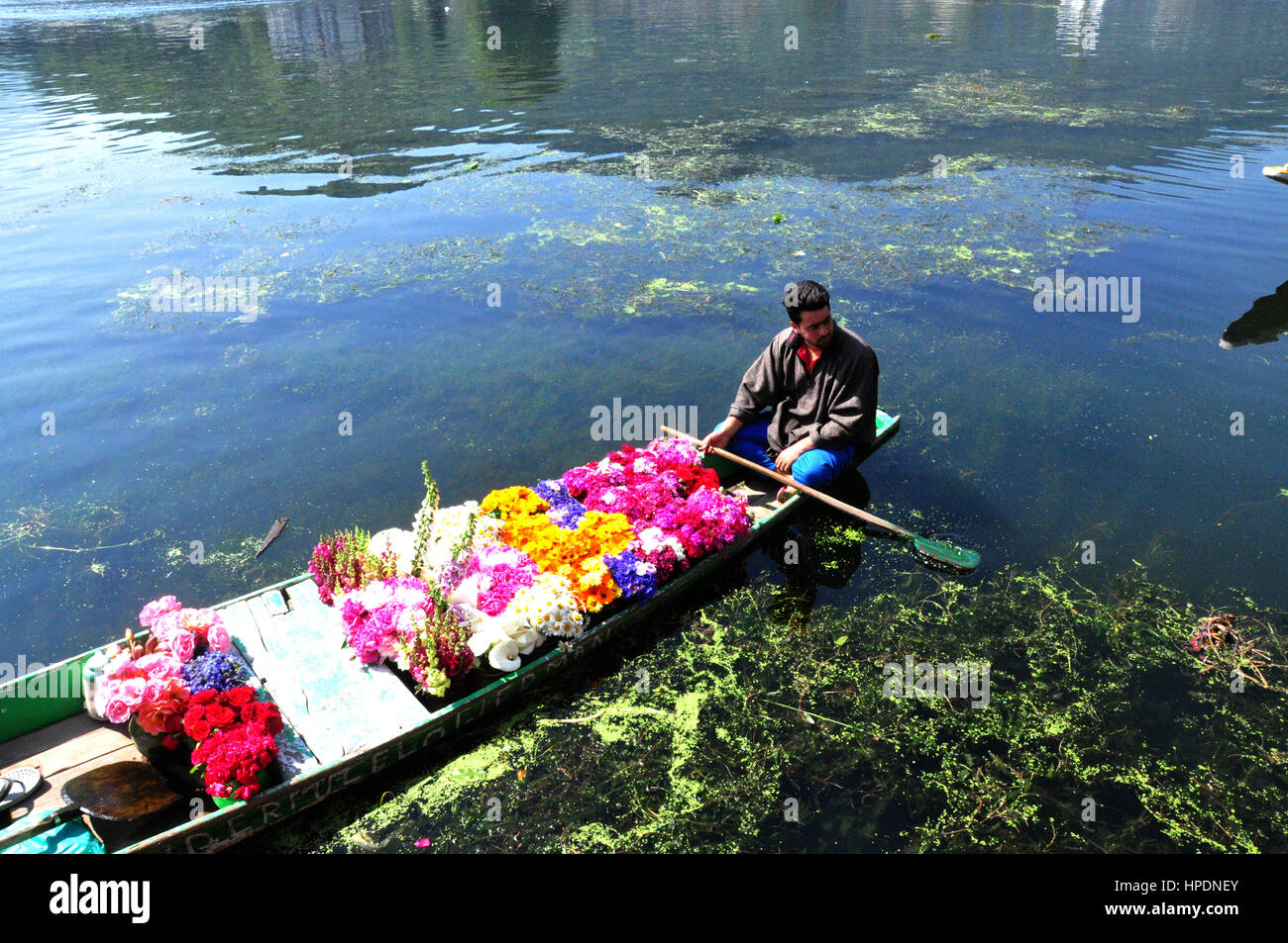 The Flower Man, Rowing boat selling flowers on Dal Lake, Srinagar ...