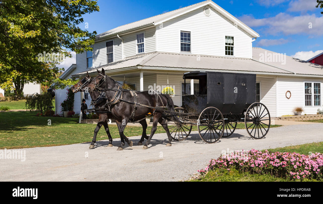 Amish farm home horse buggies hi-res stock photography and images - Alamy