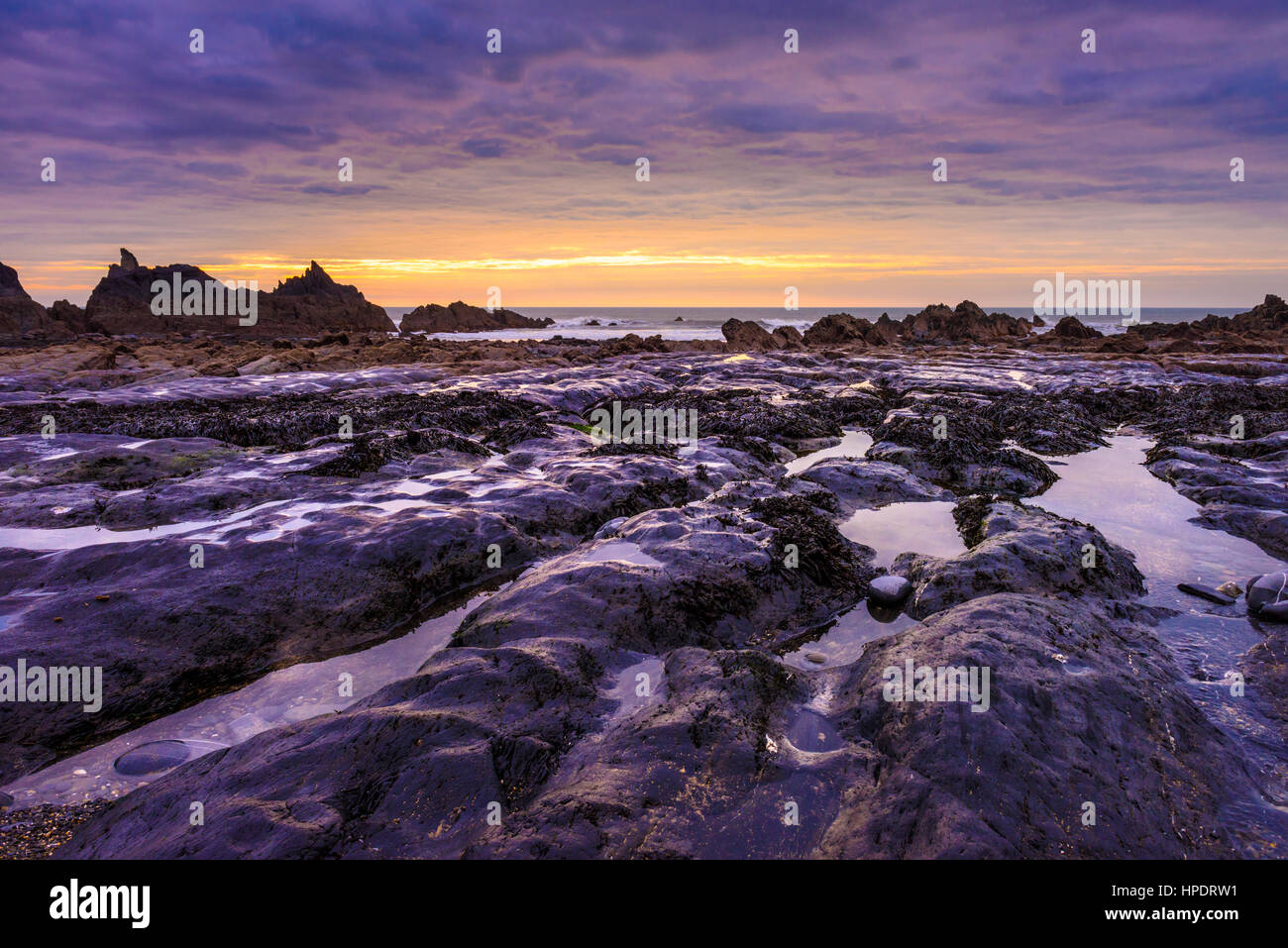 Rock pool cornwall hi-res stock photography and images - Alamy