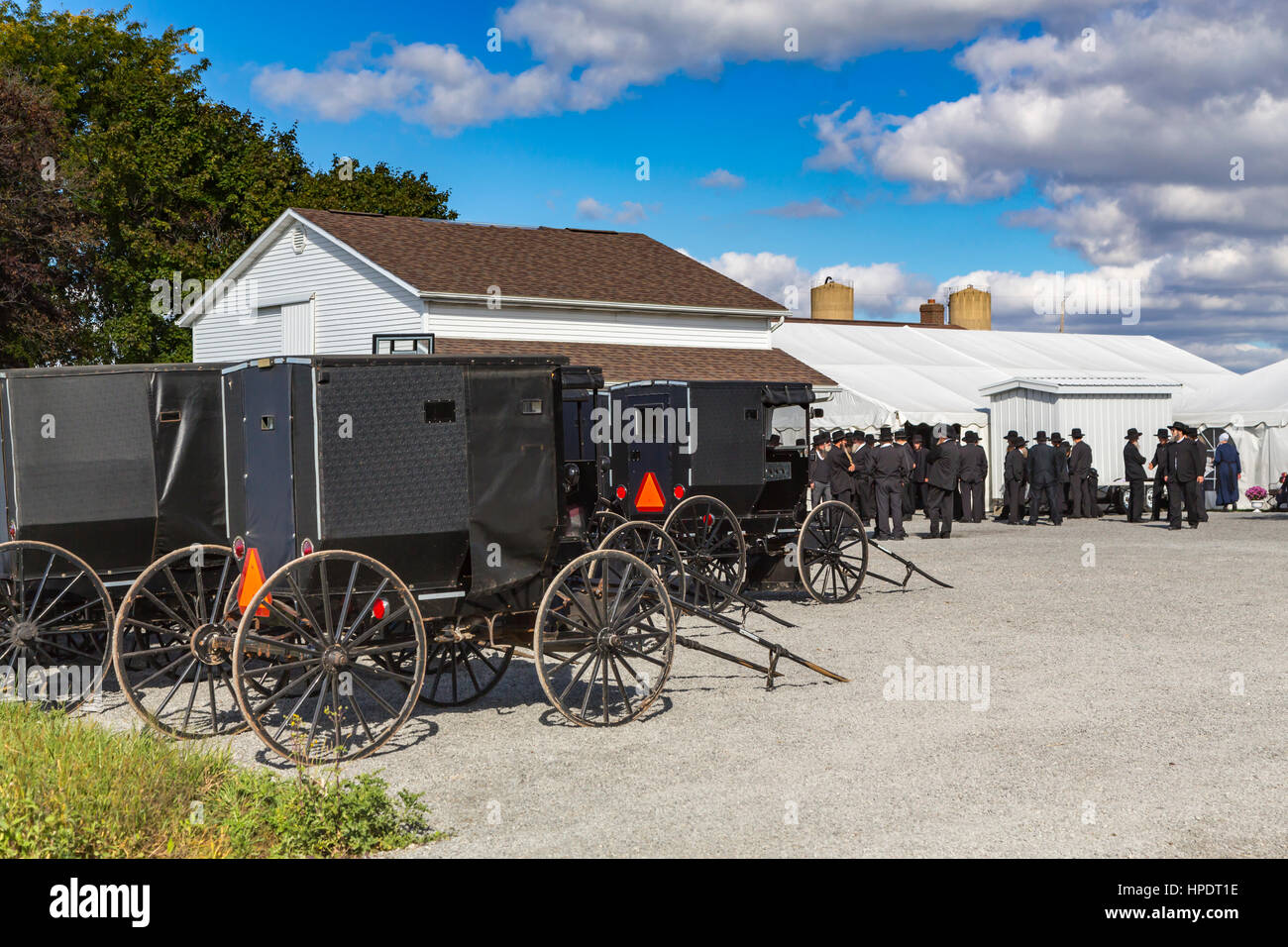 Amish wedding parking hi-res stock photography and images - Alamy