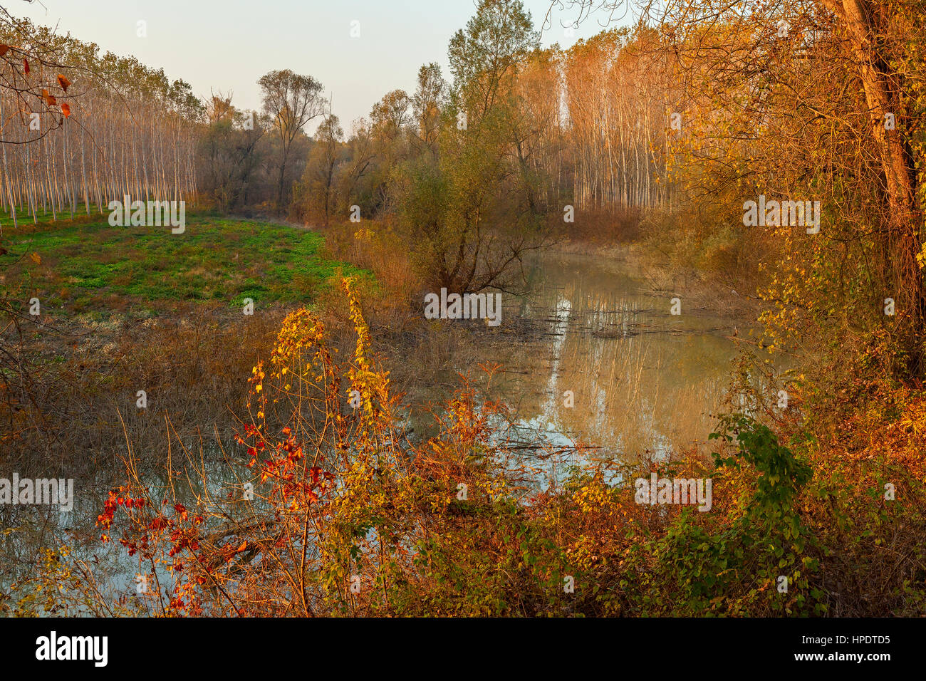 beautiful river po view on an autumn day Stock Photo - Alamy
