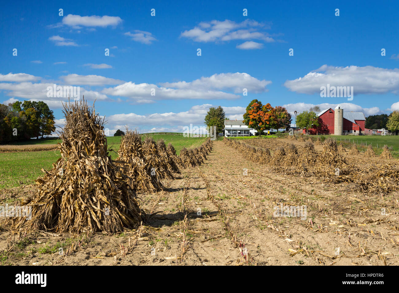 Corn shocks hi-res stock photography and images - Alamy