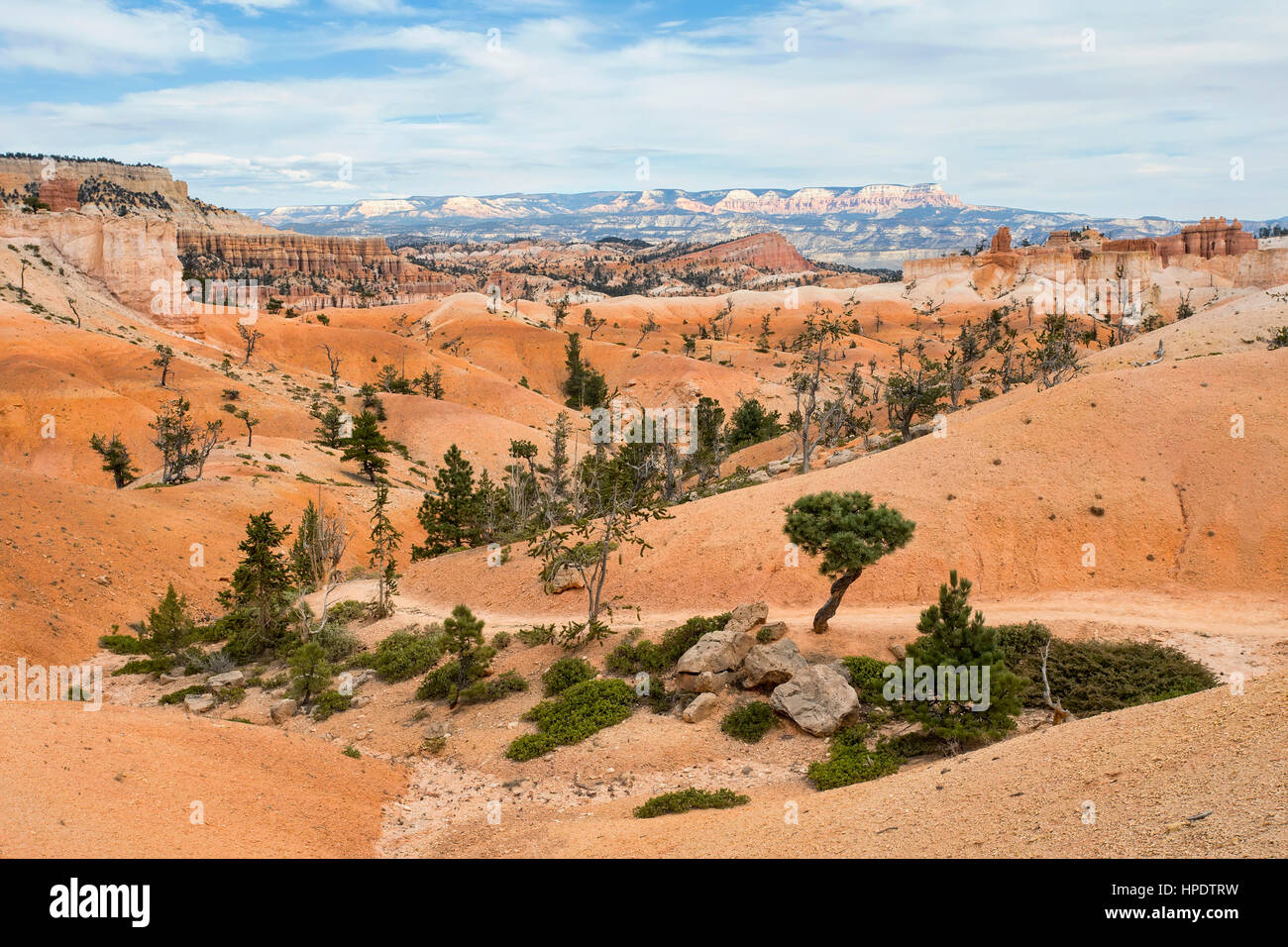 A scenic desert view from the floor of Bryce Canyon in Utah. The park's ...