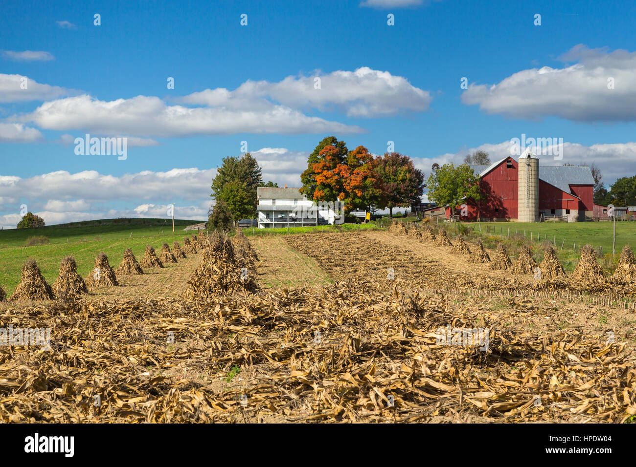 An Amish farm with corn shocks in the field near Kidron, Ohio, USA ...