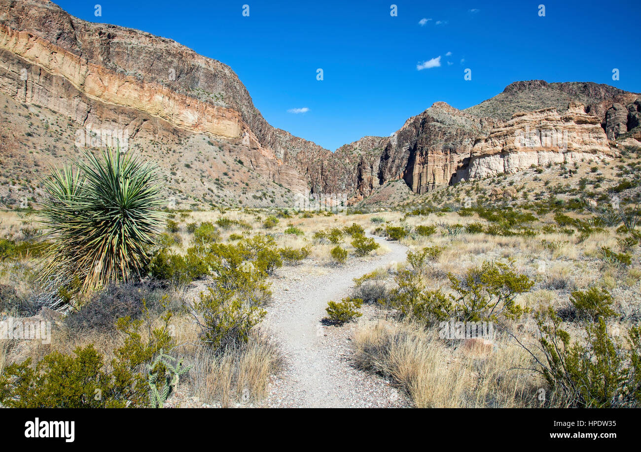 A gravel hiking trail extends out into a desert landscape at Big Bend ...