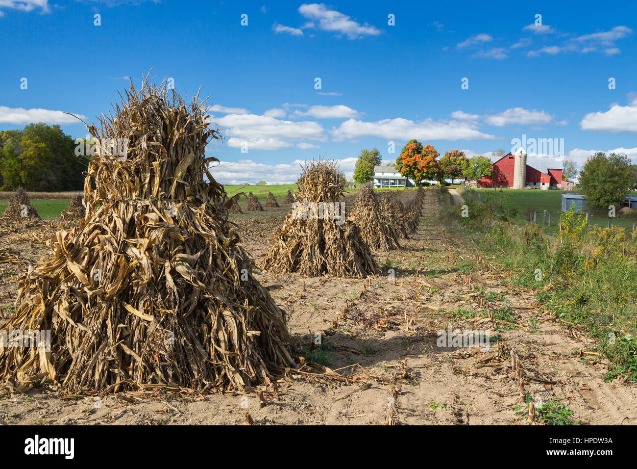 An Amish farm with corn shocks in the field near Kidron, Ohio, USA ...