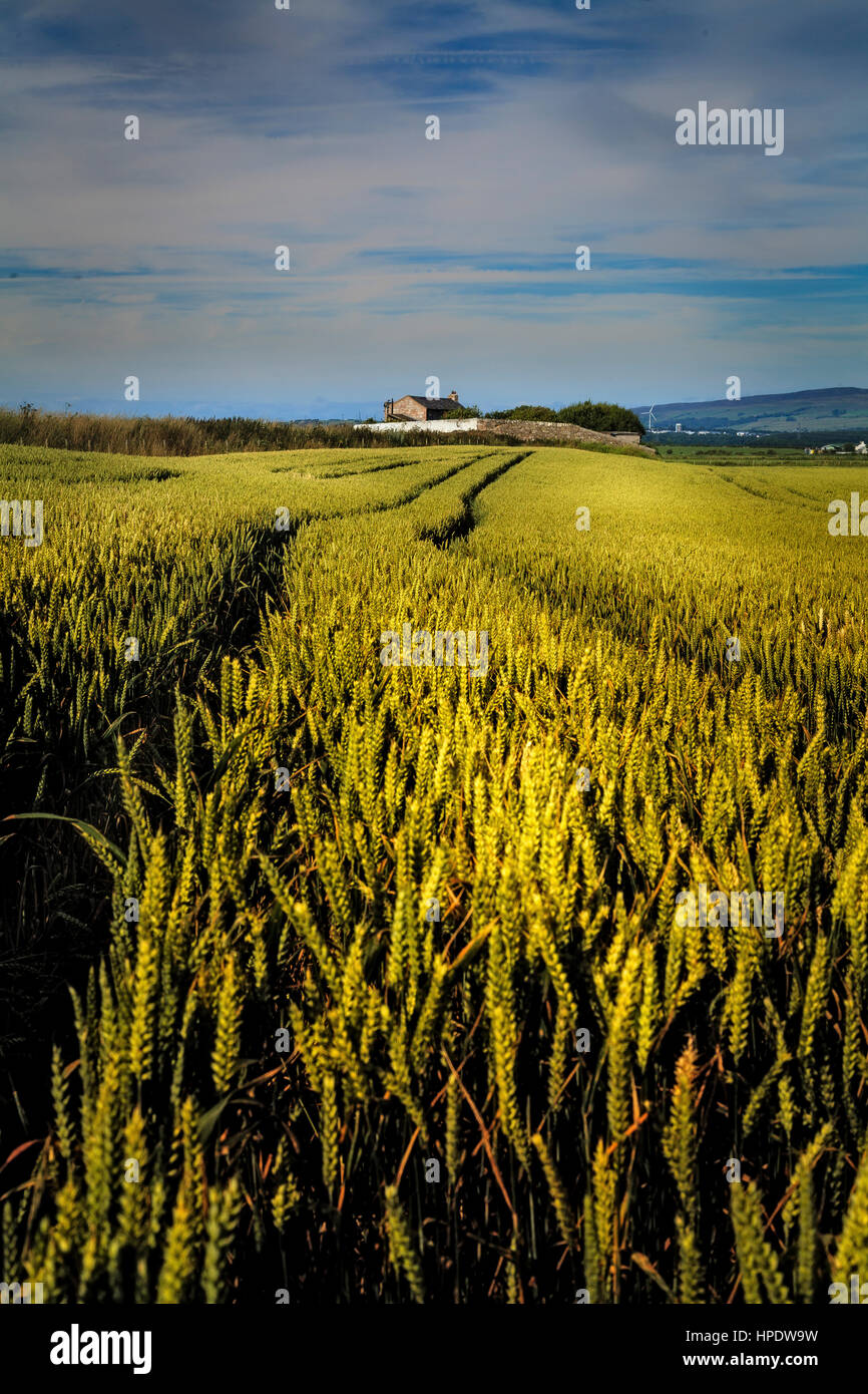Typical English Countryside Scene Stock Photo - Alamy