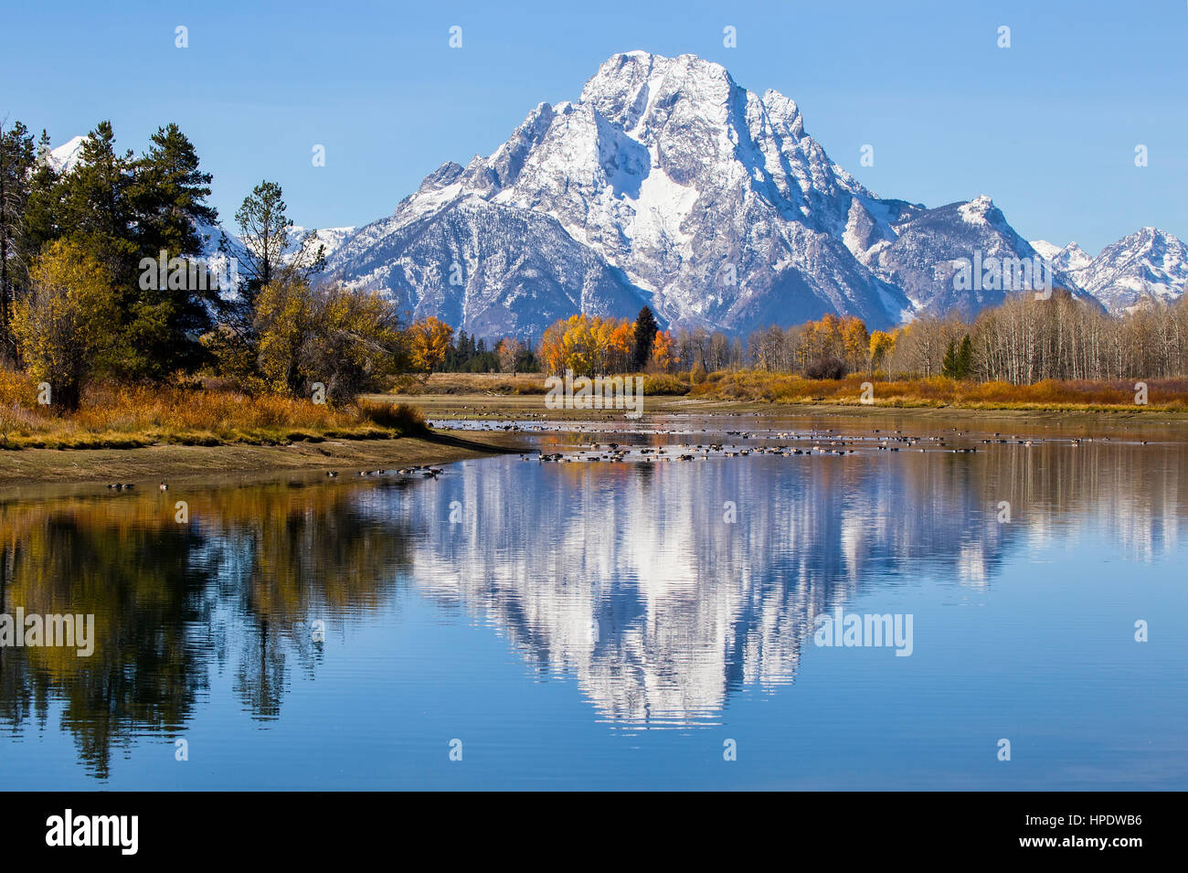 Oxbow Bend at Grand Teton National Park during the colorful fall season ...