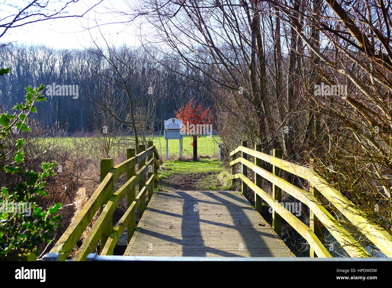 Wooden Bridge leading to footpath and woodland Stock Photo - Alamy