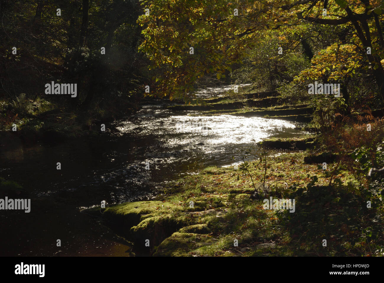River in dappled sunlight hi-res stock photography and images - Alamy