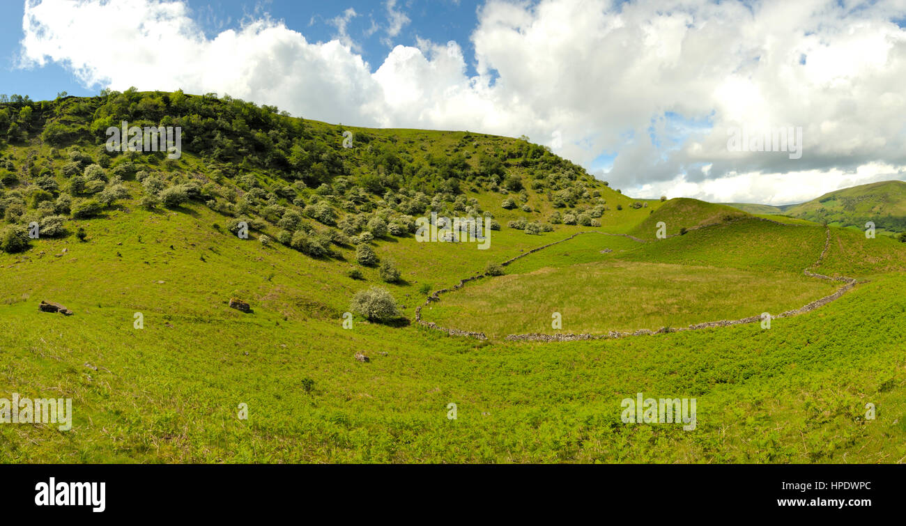 Tarren hi-res stock photography and images - Alamy