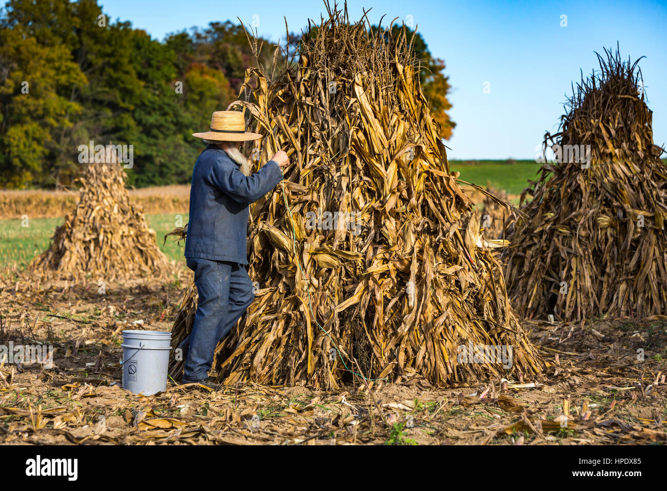 Corn shocks hi-res stock photography and images - Alamy