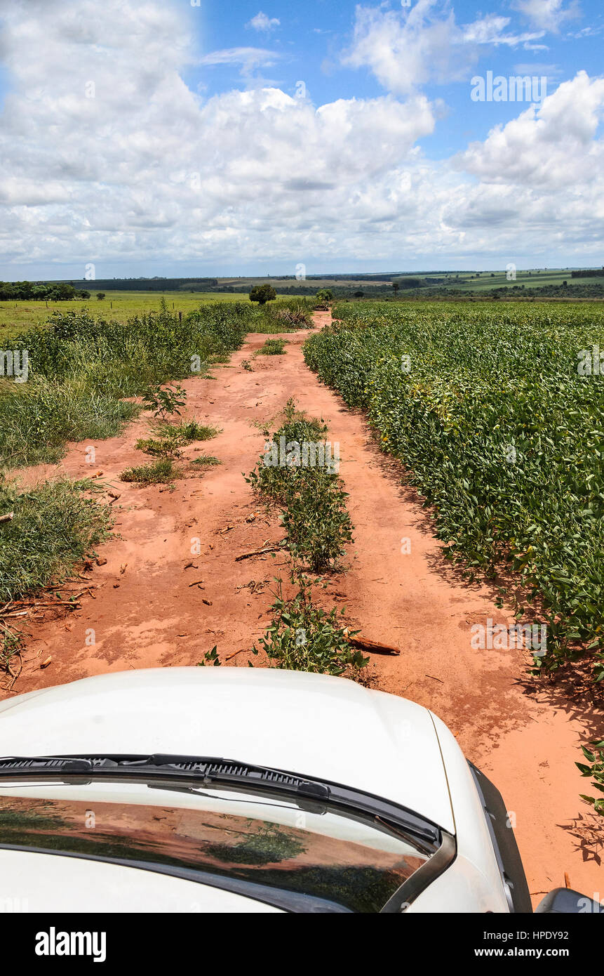 White car on dirt road amid farms with soybean plantation. Horizon with ...