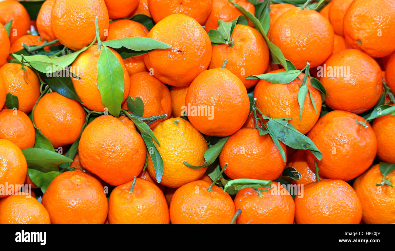 Organic orange mandarins and clementines with peel untreated with ...
