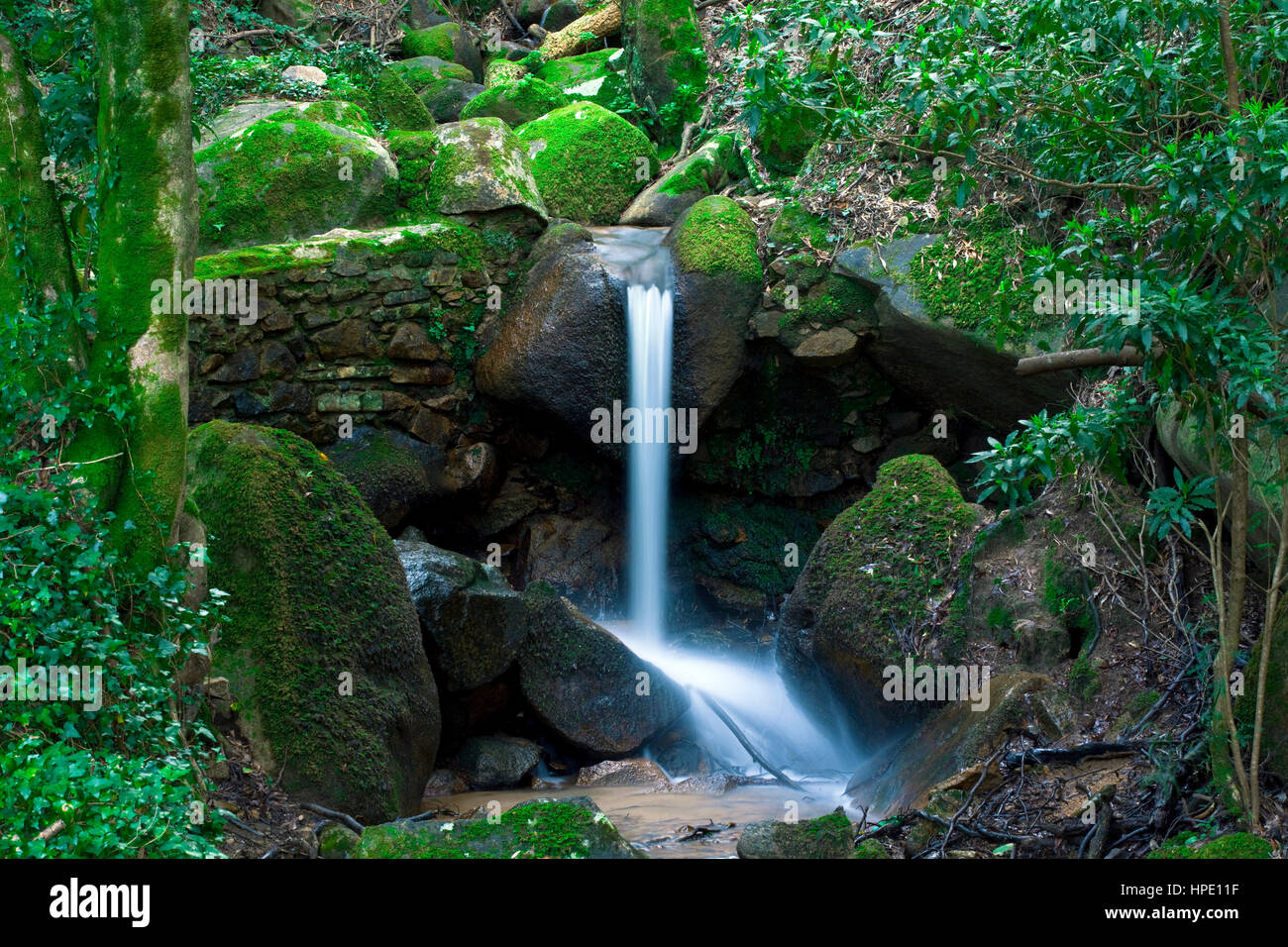Serra de Sintra, Landscape, Portugal Stock Photo - Alamy