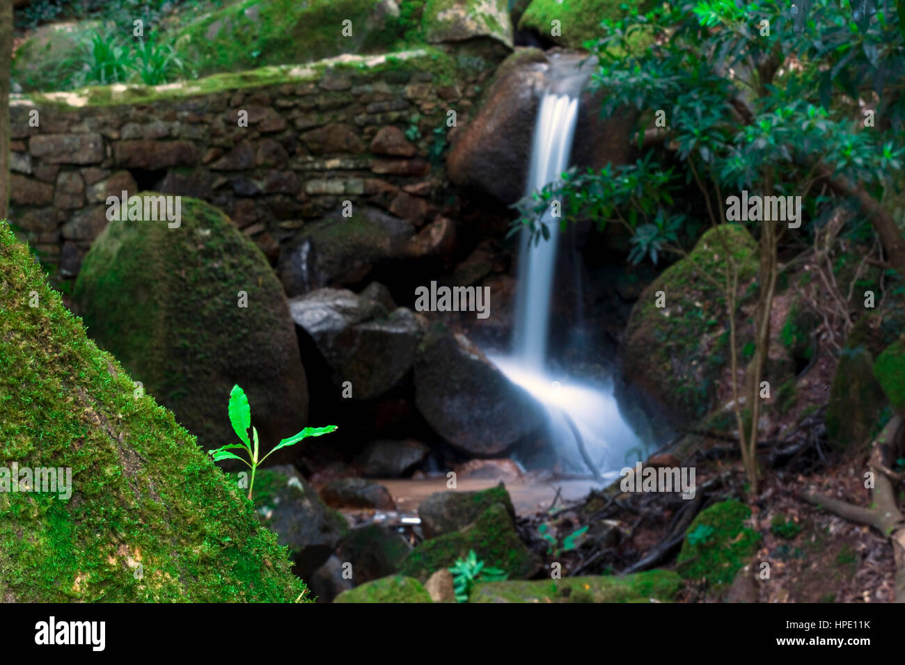 Serra de Sintra, Landscape, Portugal Stock Photo - Alamy