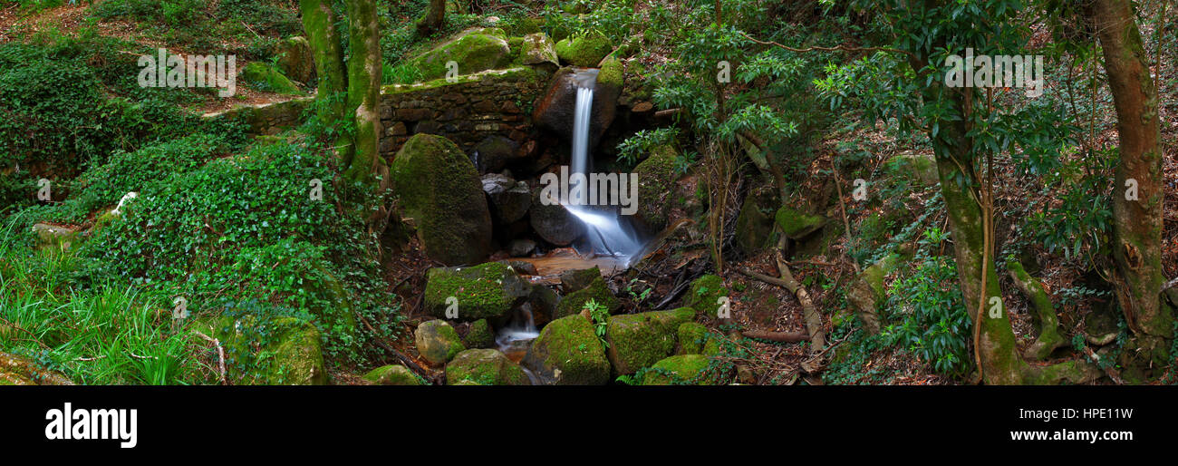 Serra de Sintra, Landscape, Portugal Stock Photo - Alamy