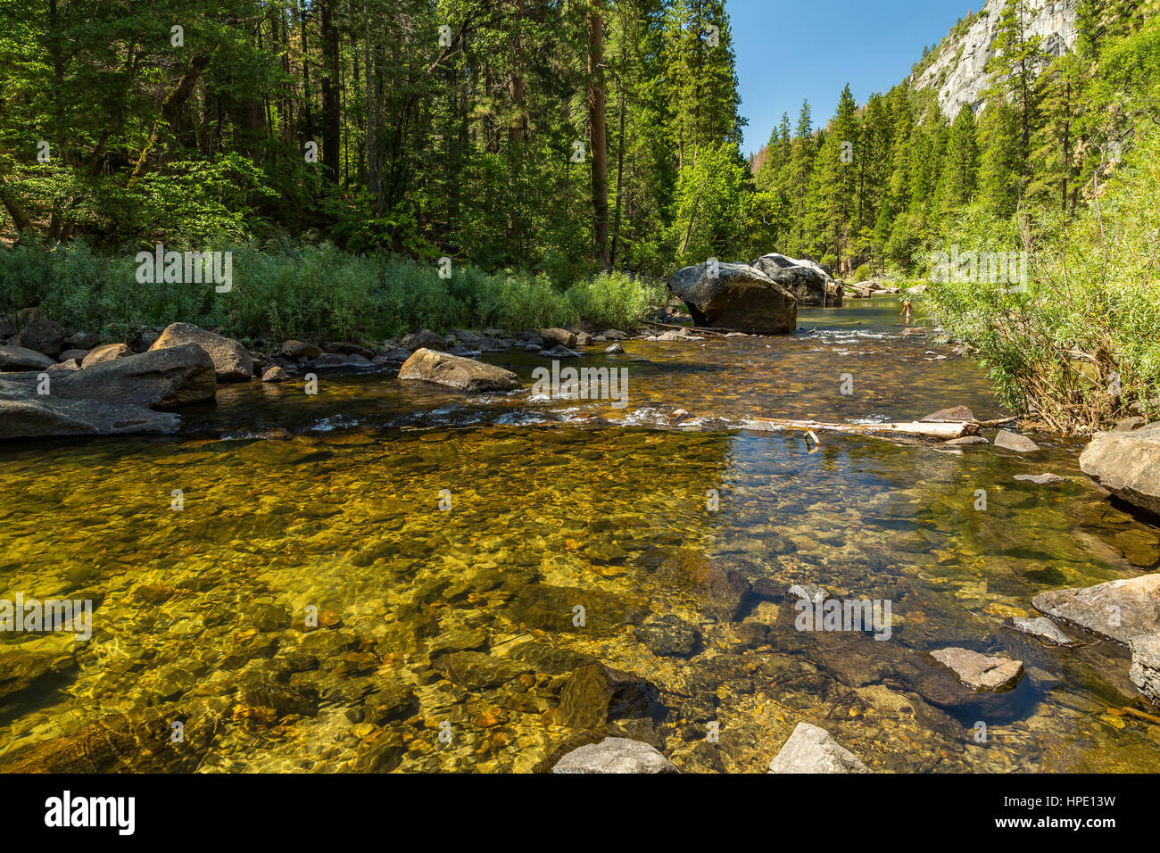 The Merced River in Yosemite Valley as it flows from the Sierra Nevada ...