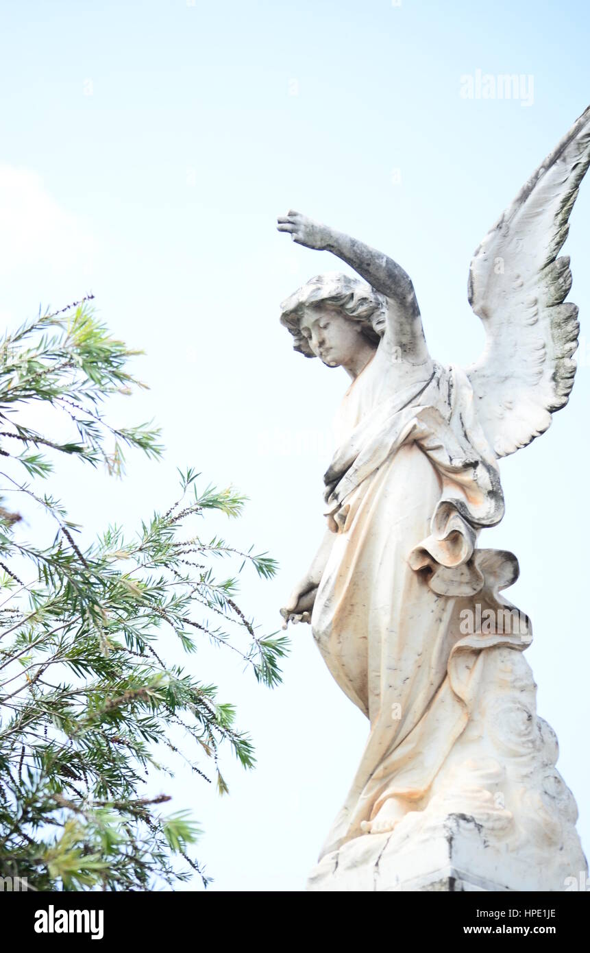Angel Statue "catching" branches, Tatuí, Brazil Stock Photo - Alamy