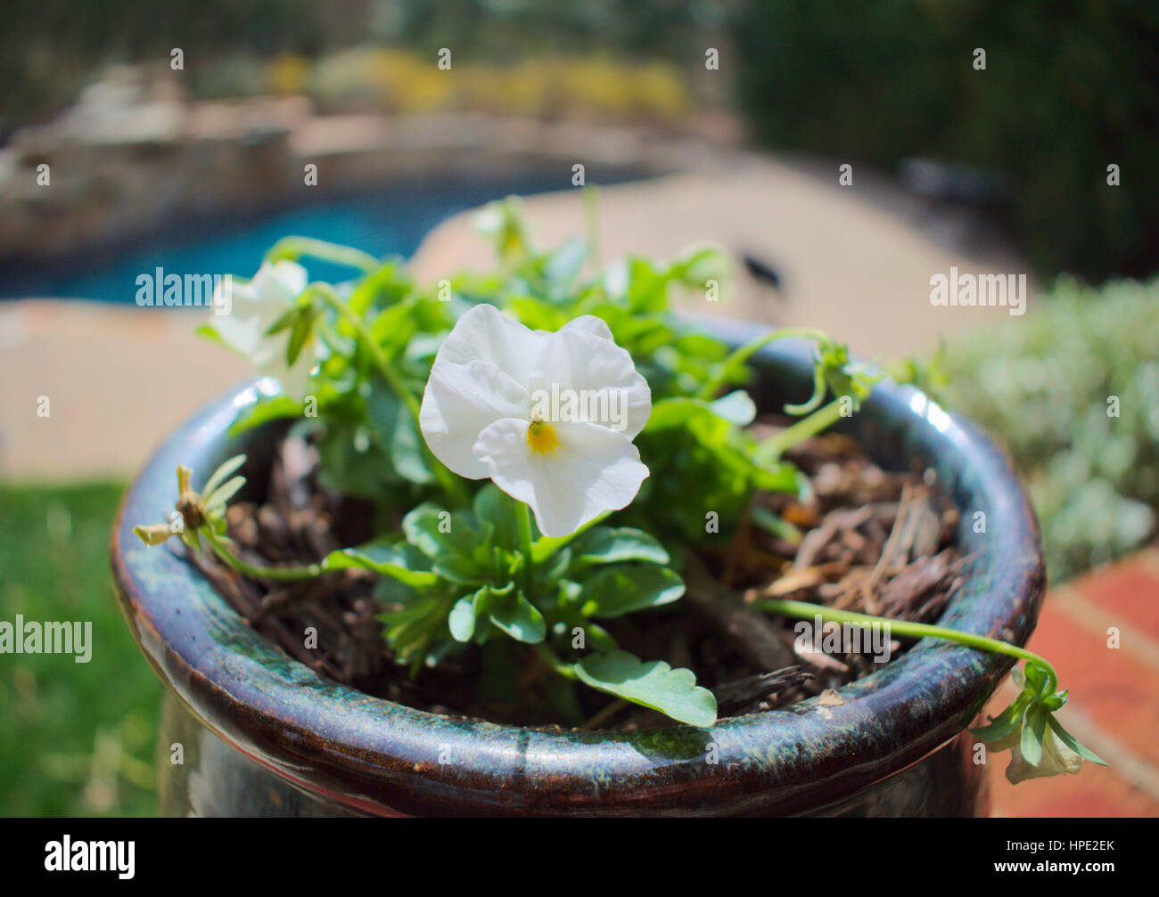 Brick ledge hi-res stock photography and images - Alamy