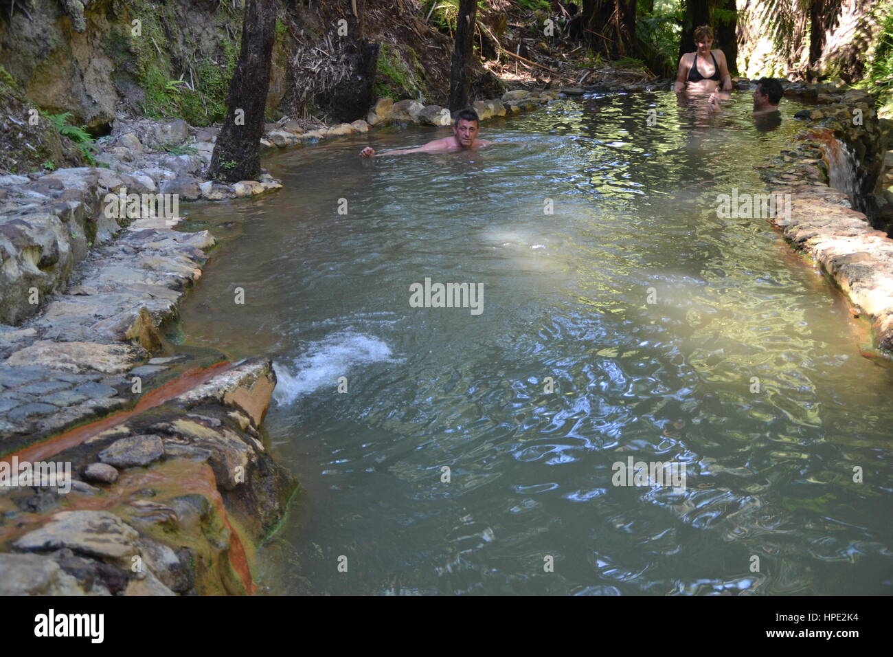 Thermal water and hot springs in Caldeira Velha is located in forest in ...