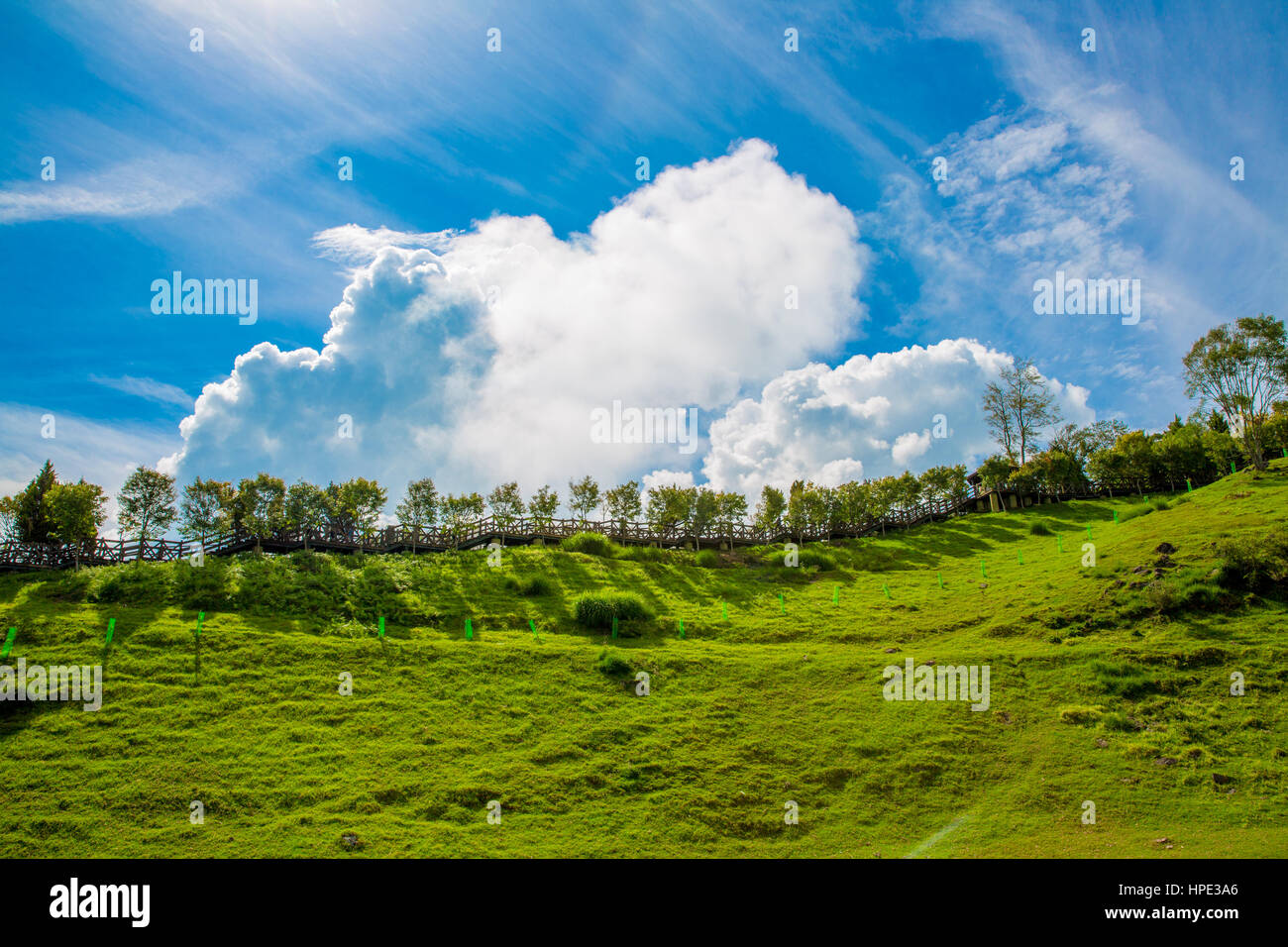 White cloud, Green Grass and Blue Sky Stock Photo - Alamy