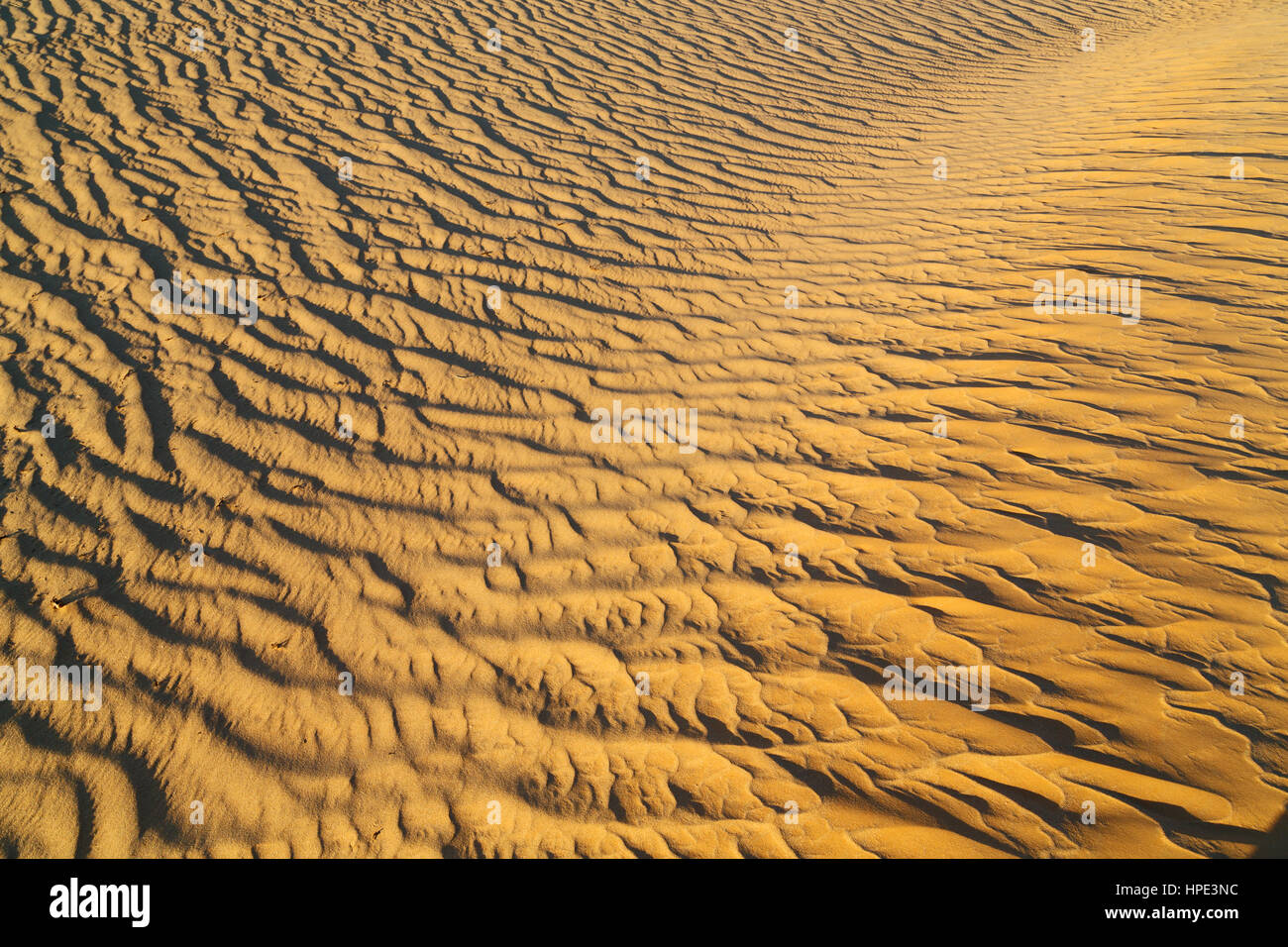 abstract texture line wave in oman the old desert and the empty quarter ...