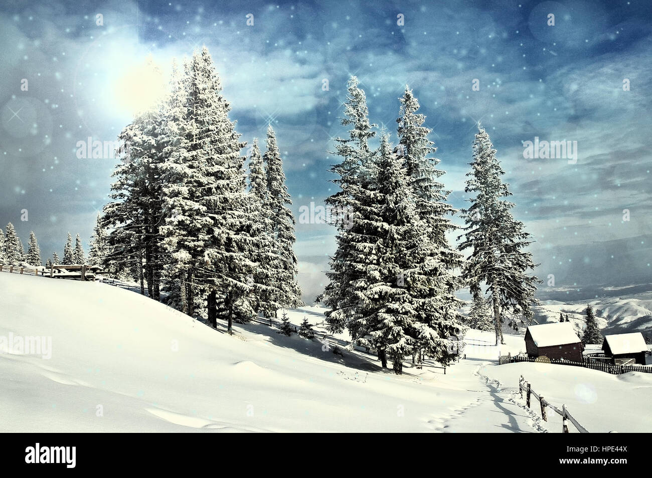 Idyllic winter landscape with snow covered fir tress. Christmas concept ...