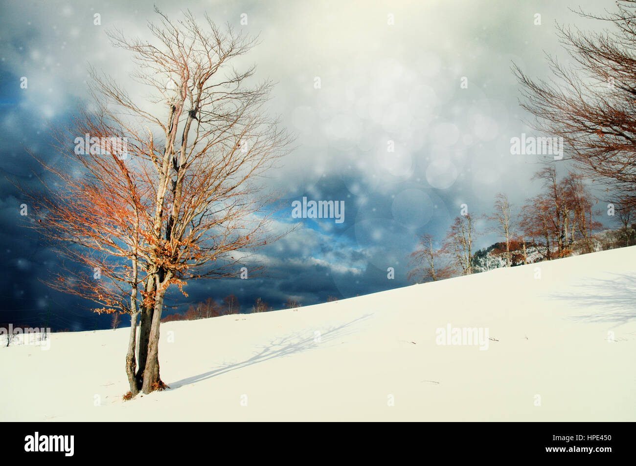 Winter Christmas landscape background in the outdoors Stock Photo - Alamy