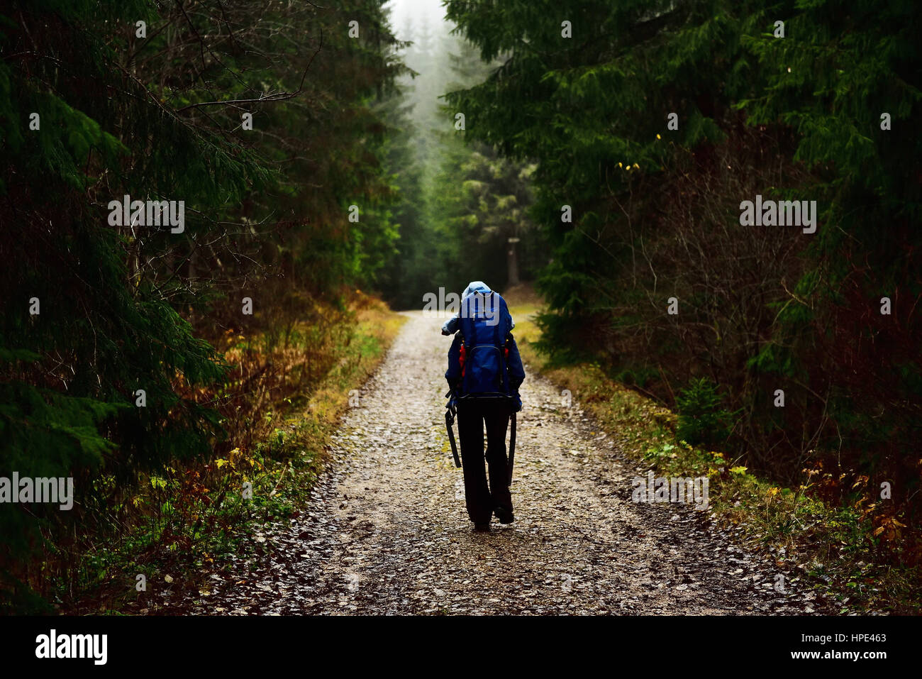 Young mother trekking, carrying her baby in a baby backpack child ...