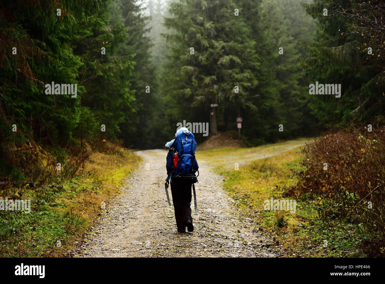 Young mother trekking, carrying her baby in a baby backpack child ...