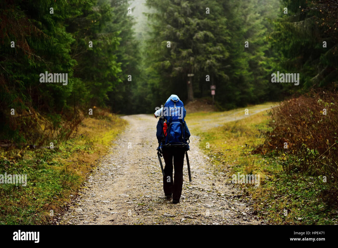 Young mother trekking, carrying her baby in a baby backpack child ...