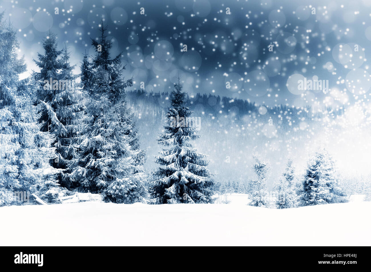 Winter landscape with snowy trees and snowflakes. Christmas concept ...