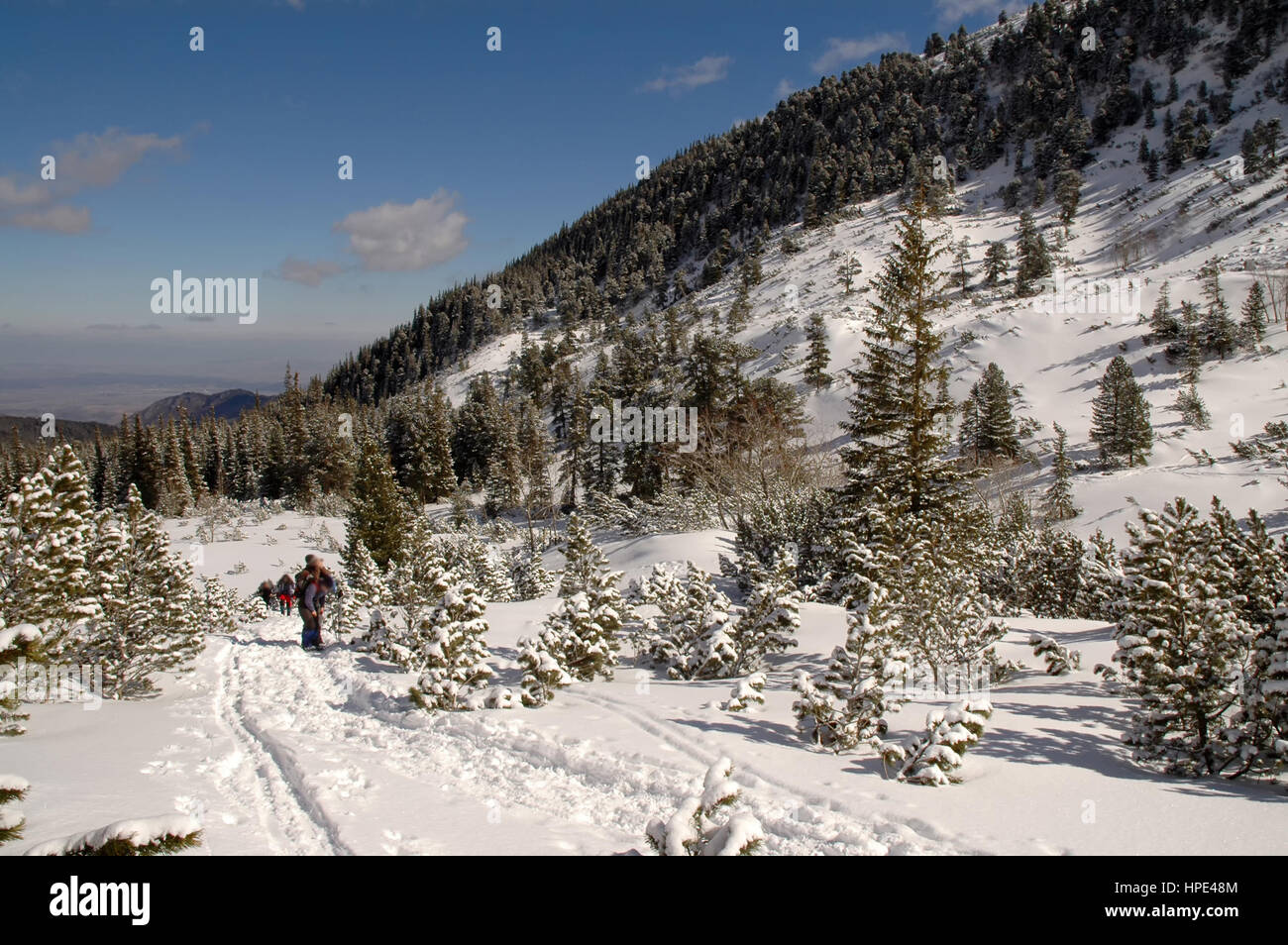 Group of people hiking in beautiful winter mountains Stock Photo - Alamy