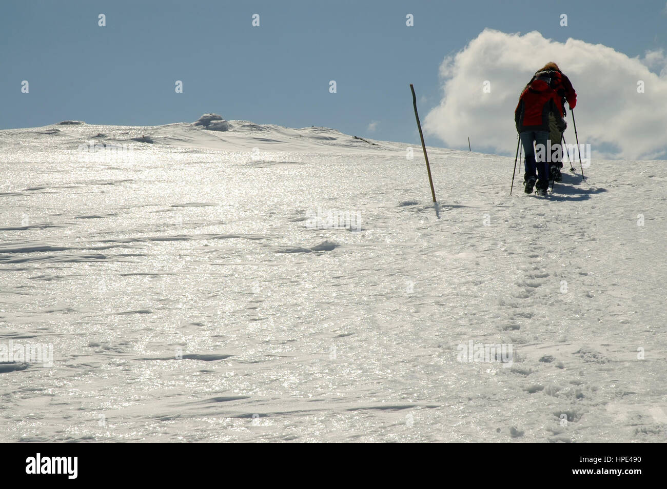 Group of people hiking in beautiful winter mountains Stock Photo - Alamy