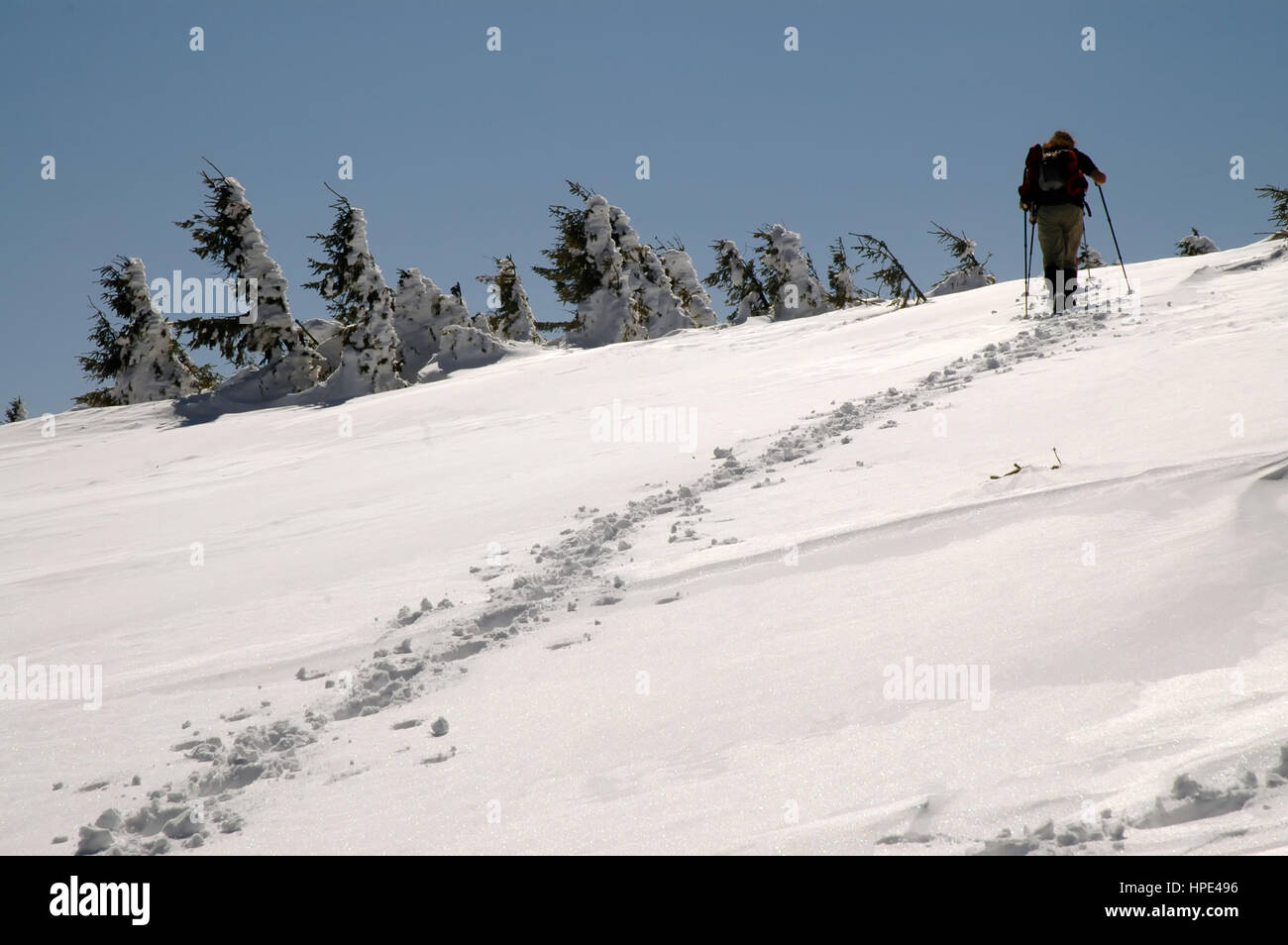 Group of people hiking in beautiful winter mountains Stock Photo - Alamy