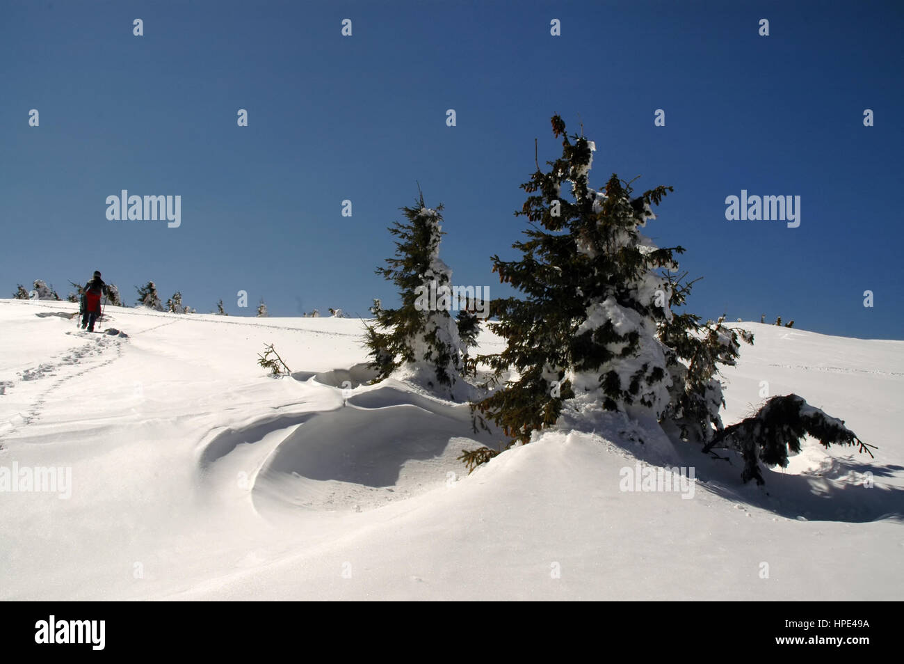 Group of people hiking in beautiful winter mountains Stock Photo - Alamy