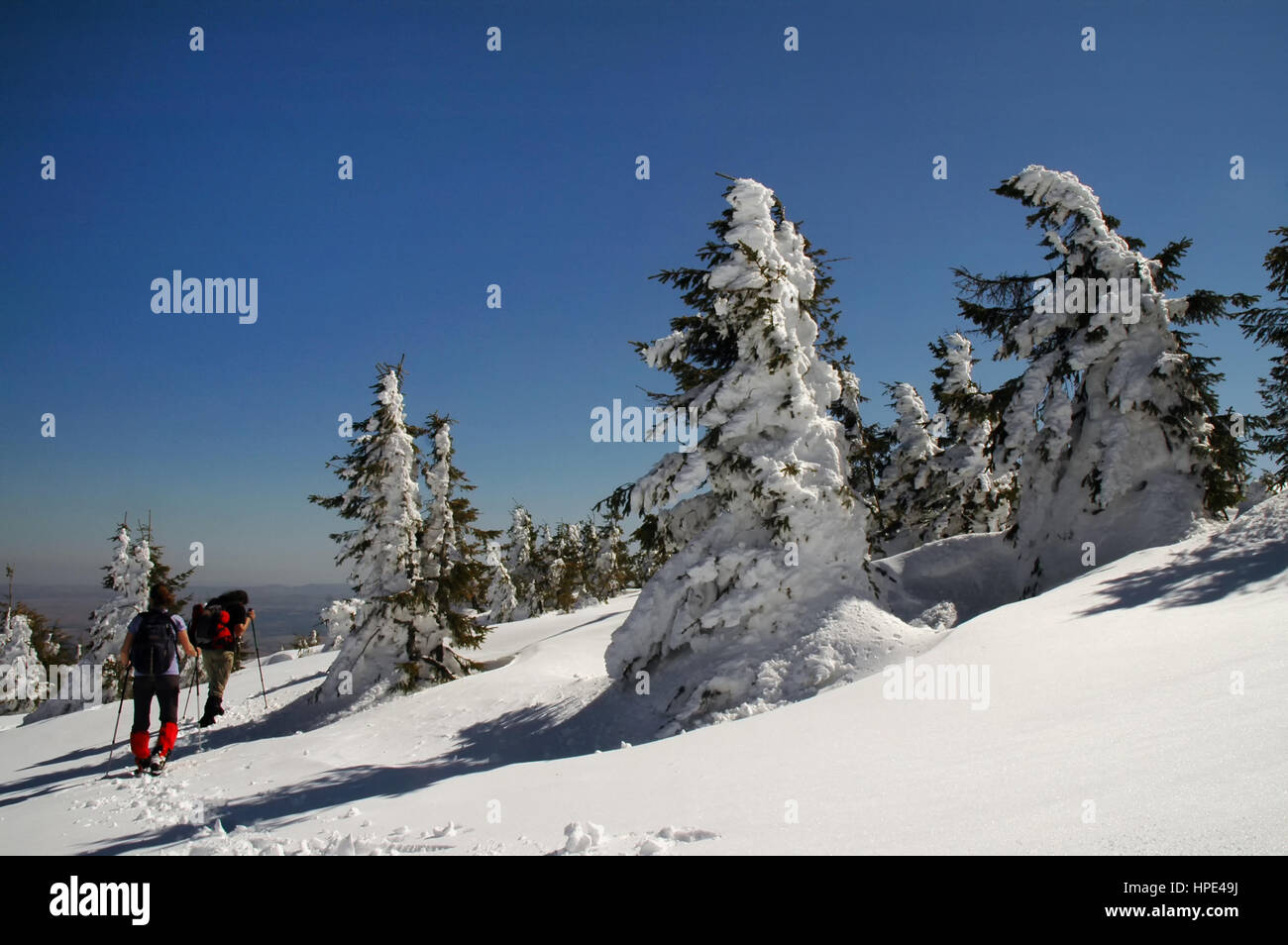 Group of people hiking in beautiful winter mountains Stock Photo - Alamy